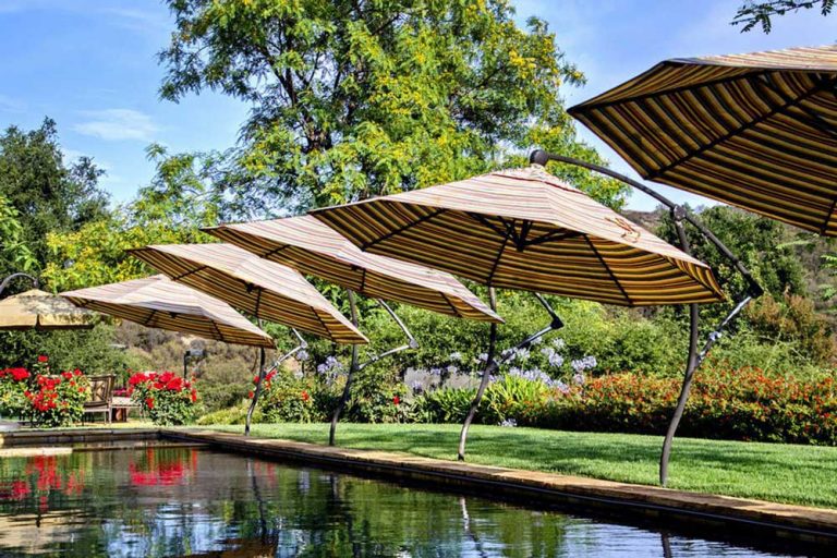 Comment Choisir et Où Trouver Le Meilleur Parasol