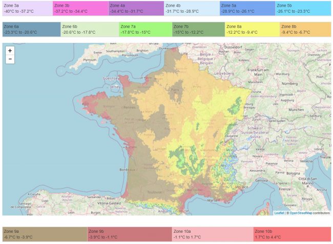 Arbres autour d'une piscine : Les pires et les meilleurs choix